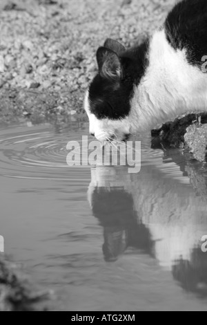watery wet puddle Stock Photo - Alamy