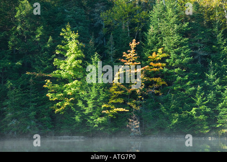 Colours of autumn on the edge of the river Stock Photo - Alamy