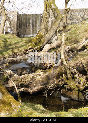 hut victorian reservoir dam wall sluice stream Stock Photo - Alamy