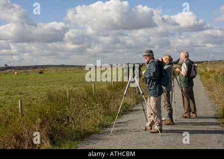 Rainham Marshes RSPB bird reserve located east of London at Rainham ...