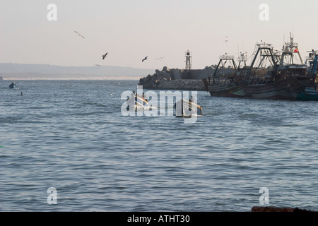 Sardine boats returning to port Stock Photo - Alamy