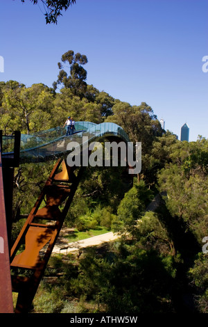 Australia, Perth, tree top walk with glass bridge in public Kings Park ...
