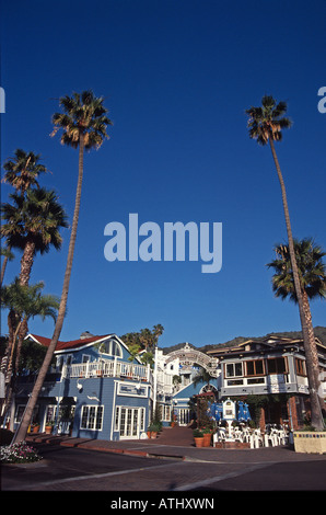 Catalina island, street, tree palm, blue sky Stock Photo - Alamy