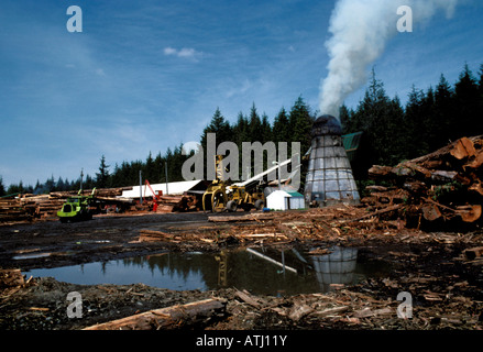 Washington State, Lumber Mill Stock Photo - Alamy