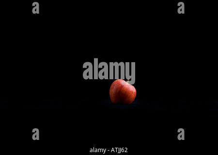 autumn harvest - one red apple is on fallen yellow leaves. Perfect ...