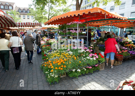 Market / Mannheim / Markt Stock Photo - Alamy