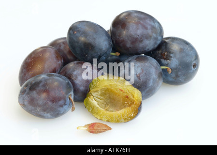 Plum / Pflaume Stock Photo - Alamy