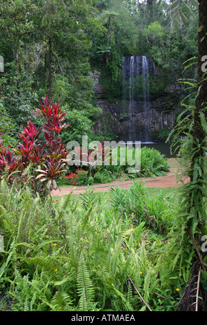 The famous Millaa Millaa waterfall in the Atherton Tablelands area of ...