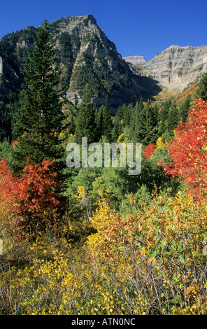 indian summer at Mount Timpanogos Wasatch Range Utah USA Stock Photo ...