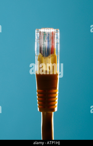 Macro close-up of an Ethernet computer cable Stock Photo - Alamy
