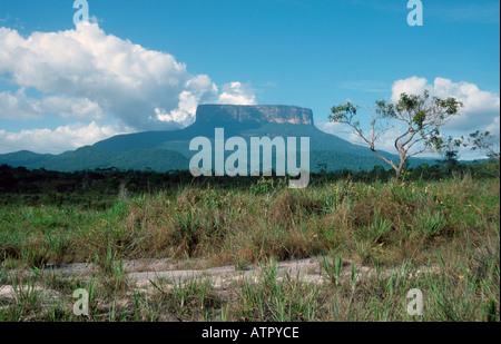 Table mountain / Ptari Tepui Stock Photo - Alamy