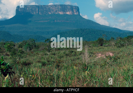 Table mountain / Ptari Tepui Stock Photo - Alamy