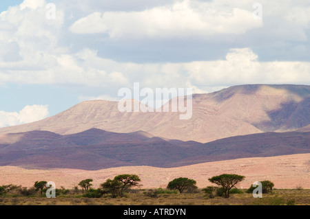 NAMIBIA Namib Desert Desert mountains and plains with pink and purple ...