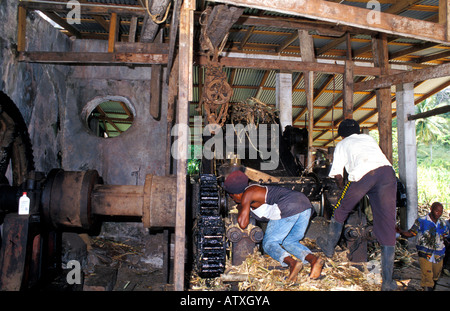 Rhum Grenada island Caribbean Central America Stock Photo - Alamy