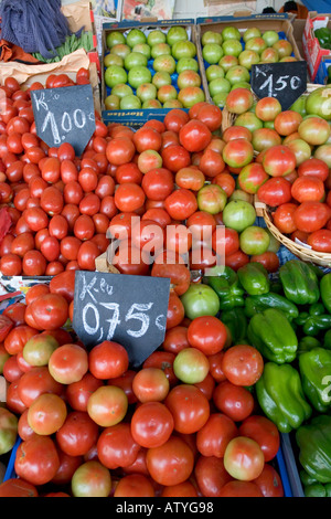 Close-up of fresh peppers grown in an agricultural estate Stock Photo ...