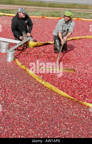 Wisconsin,WI,Upper Midwest,Wood County,Rudolph,Wisconsin Dairy State ...