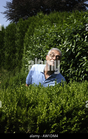 Man looking over hedge looking for someone Stock Photo - Alamy