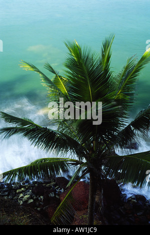 Varkala beach coast line in the State of Kerala South India Stock Photo ...