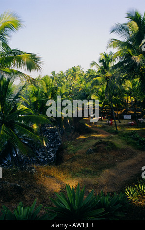 Varkala beach coast line in the State of Kerala South India Stock Photo ...