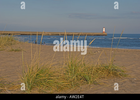 Spittal beach mouth of River Tweed near Berwick rocks on the tideline ...