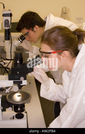 MODEL RELEASED. Laboratory research. Two scientists writing up their ...