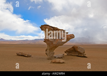 Arbol de Piedra (Stone tree) rock formation in Eduardo Avaroa Andean ...