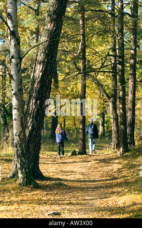 A woman walking her dog opposite to the pet food store window with dogs ...