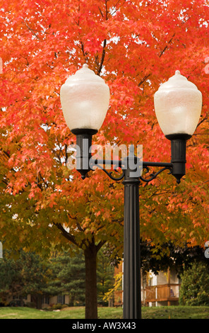 Fall in town, streetlights Stock Photo - Alamy