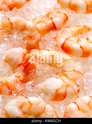 Fresh Tiger Prawns Stock Photo - Alamy