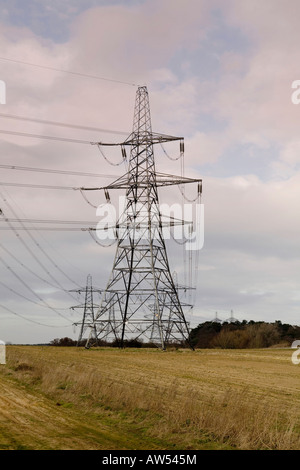 Electricity Pylons carrying power from Didcot Power Station along the ...