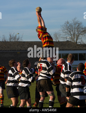 Rugby line out, players in action Stock Photo - Alamy