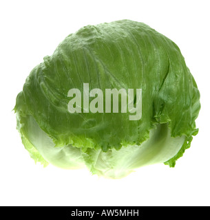 Iceberg lettuce on white background Stock Photo - Alamy
