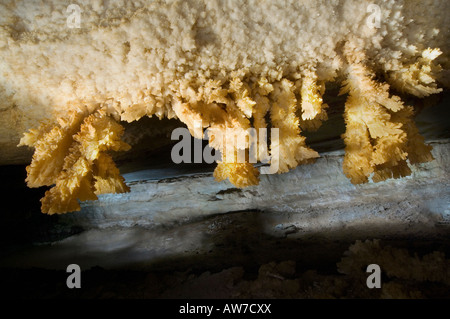 Fitton Cave Beauty Cave Arkansas longest cave 16 5 miles Cecil Cove ...