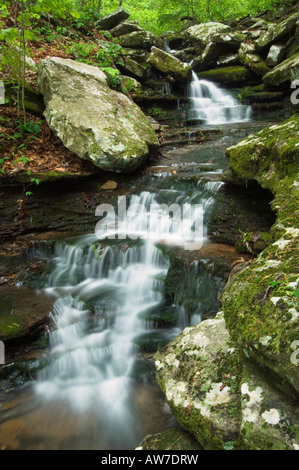 Waterfalls at Indian Creek ponca Wilderness Buffalo National River ...