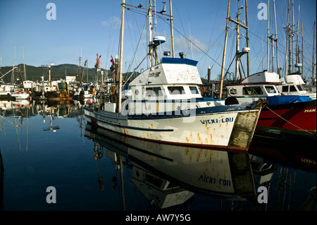 Fishing fleet Neah Bay, Washington, USA Stock Photo - Alamy