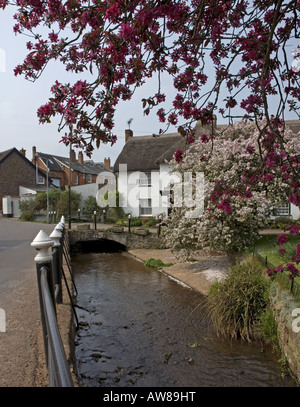 Springtime village scene, Thorverton, Devon Stock Photo - Alamy