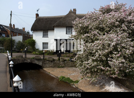 Springtime village scene, Thorverton, Devon Stock Photo - Alamy