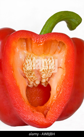 CAPSICUM ANNUUM BELL PEPPER Stock Photo - Alamy