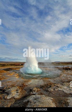 Strokkur geyser ready to spout hot water Iceland Stock Photo - Alamy