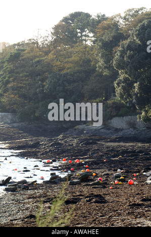 Mooring buoys on Loe beach Feock Cornwall England UK Europe Stock Photo ...