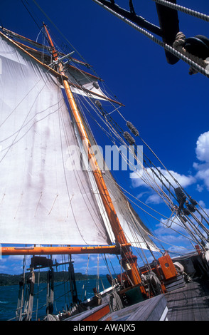 Historic Ship R Tucker Thompson Russell Bay of Islands Northland New ...