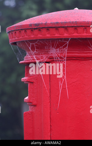 Red letter box and spider web Surrey England Stock Photo - Alamy
