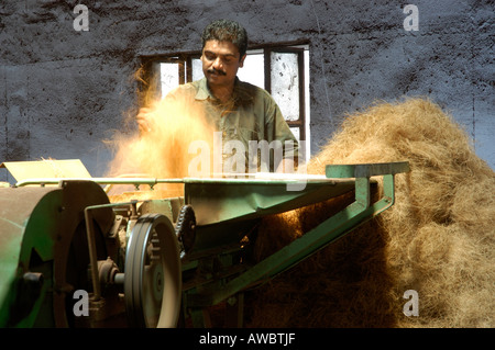 COIR PROCESSING IN FACTORY IN ALAPPUZHA DISTRICT Stock Photo - Alamy