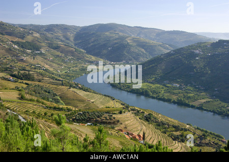 Douro Valley, vineyards and landscape near Regua, Portugal Stock Photo ...