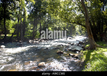 CHINNAR RIVER INSIDE CHINNAR WILDLIFE SANCTUARY FLOWING TOWARDS TAMIL ...