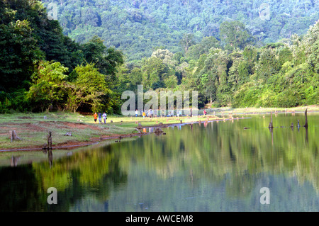 TOURISTS INSIDE THATTEKKAD BIRD SANCTUARY Stock Photo - Alamy