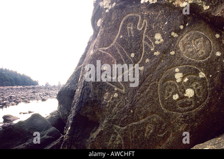 Makah Petroglyphs near Wedding Rocks, Ozette Loop - Olympic National ...