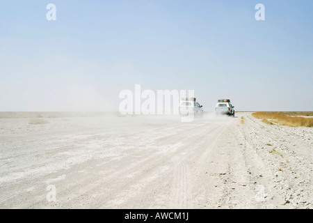 Offroad tour over a big salt pan, Sowa Pan, Makgadikgadi pans, Botswana ...