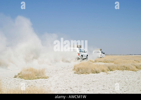 Offroad tour over a big salt pan, Sowa Pan, Makgadikgadi pans, Botswana ...