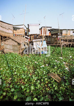 Vietnamese traditional stilt house built on wooden poles and made from bamboo, cane and rattan ...